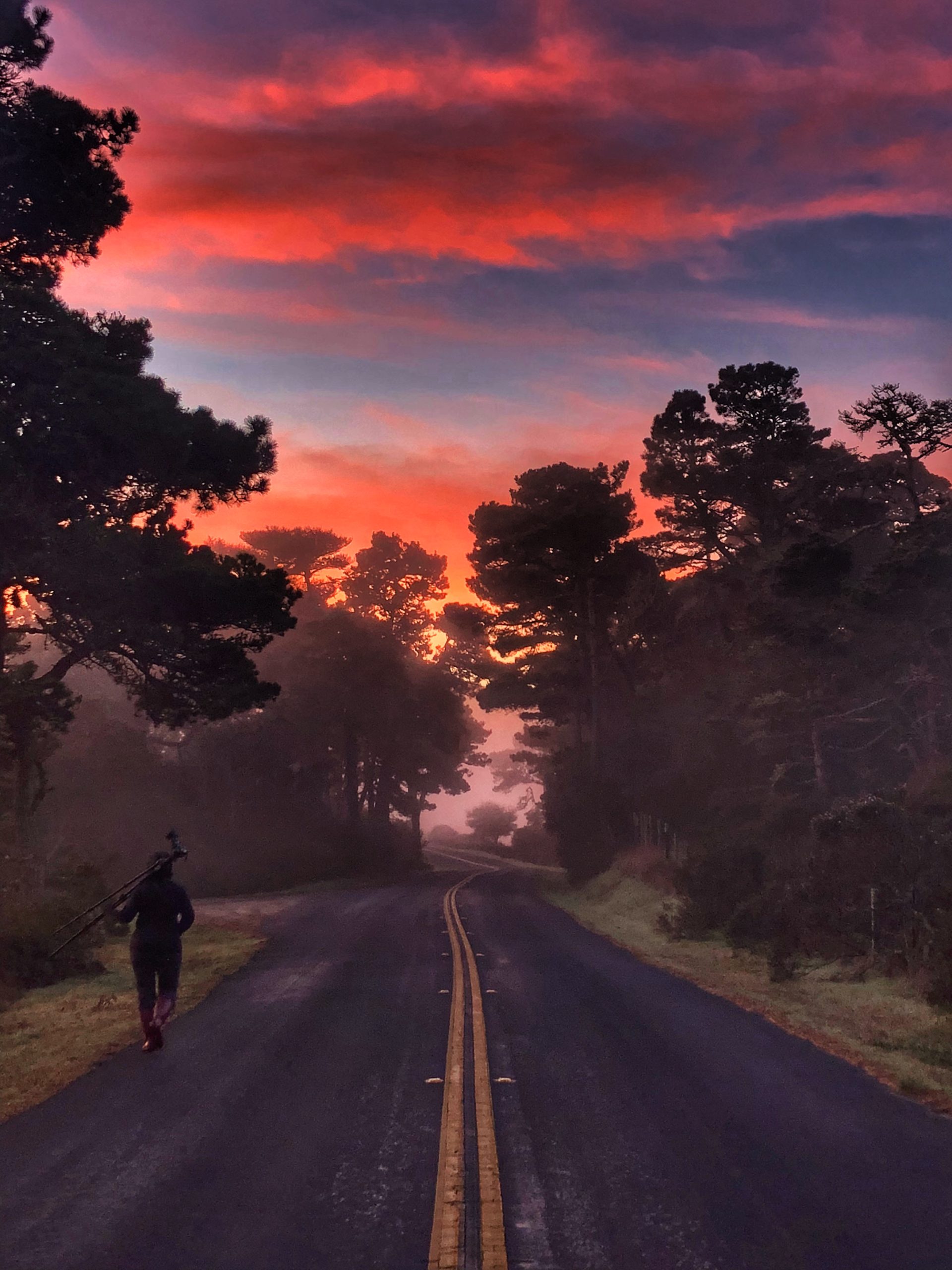 Morro Bay Hiking: Top 10 Scenic Trails You Can’t Miss