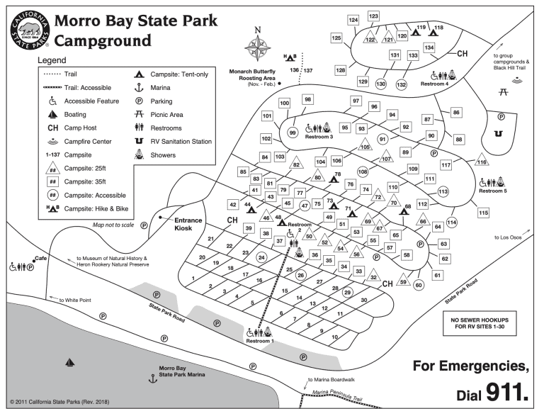 Morro Bay State Park Ultimate Guide (By A Local) 2025