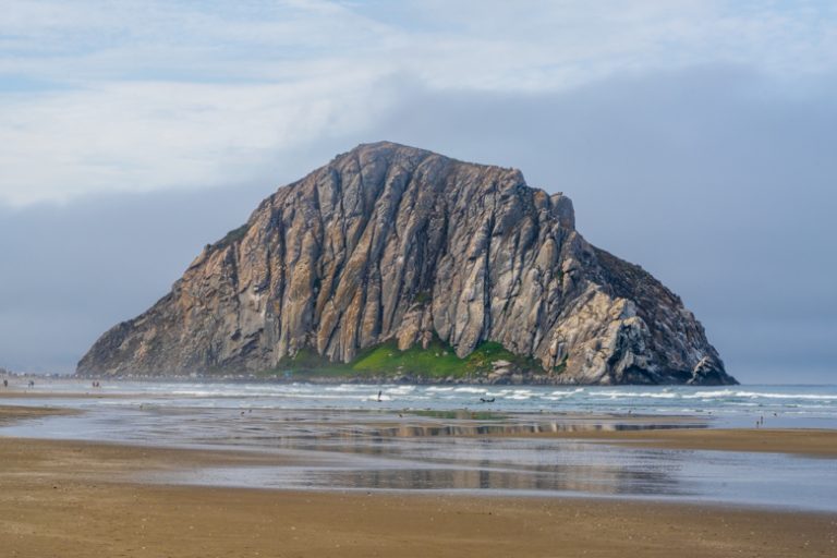 Best Things to Do in Morro Bay: Hidden Gems & Local Picks | Morro Bay