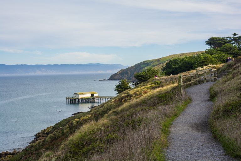 Your Guide to Point Reyes Hiking | Hidden Gems and Iconic Trails