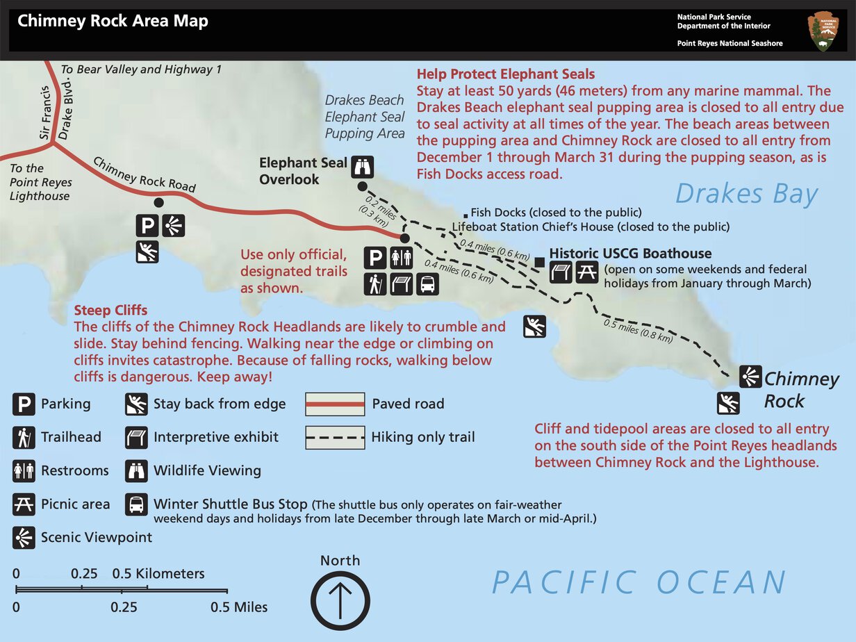 Your Guide to Point Reyes Hiking | Hidden Gems and Iconic Trails