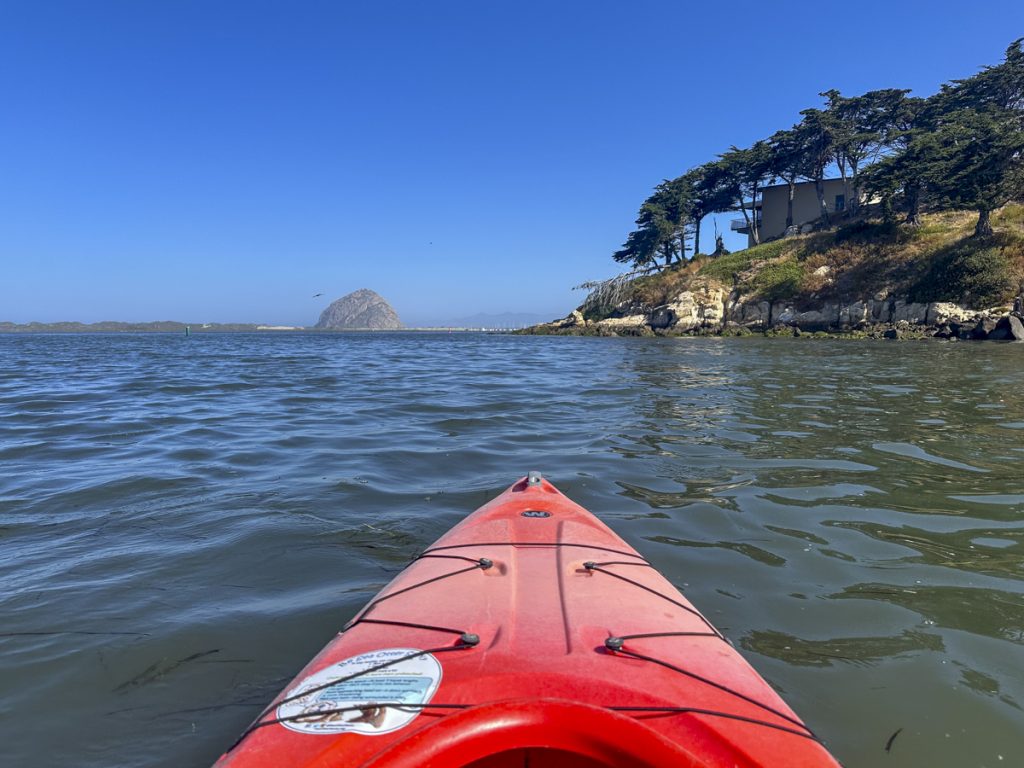 Kayaking Morro Bay | Unveiling the Best Spots on the Water
