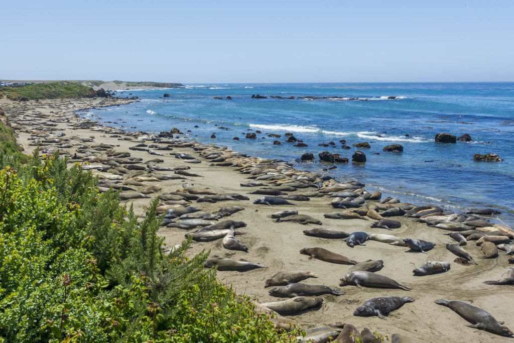 Things to Do in Cambria: Best Activities & Sights