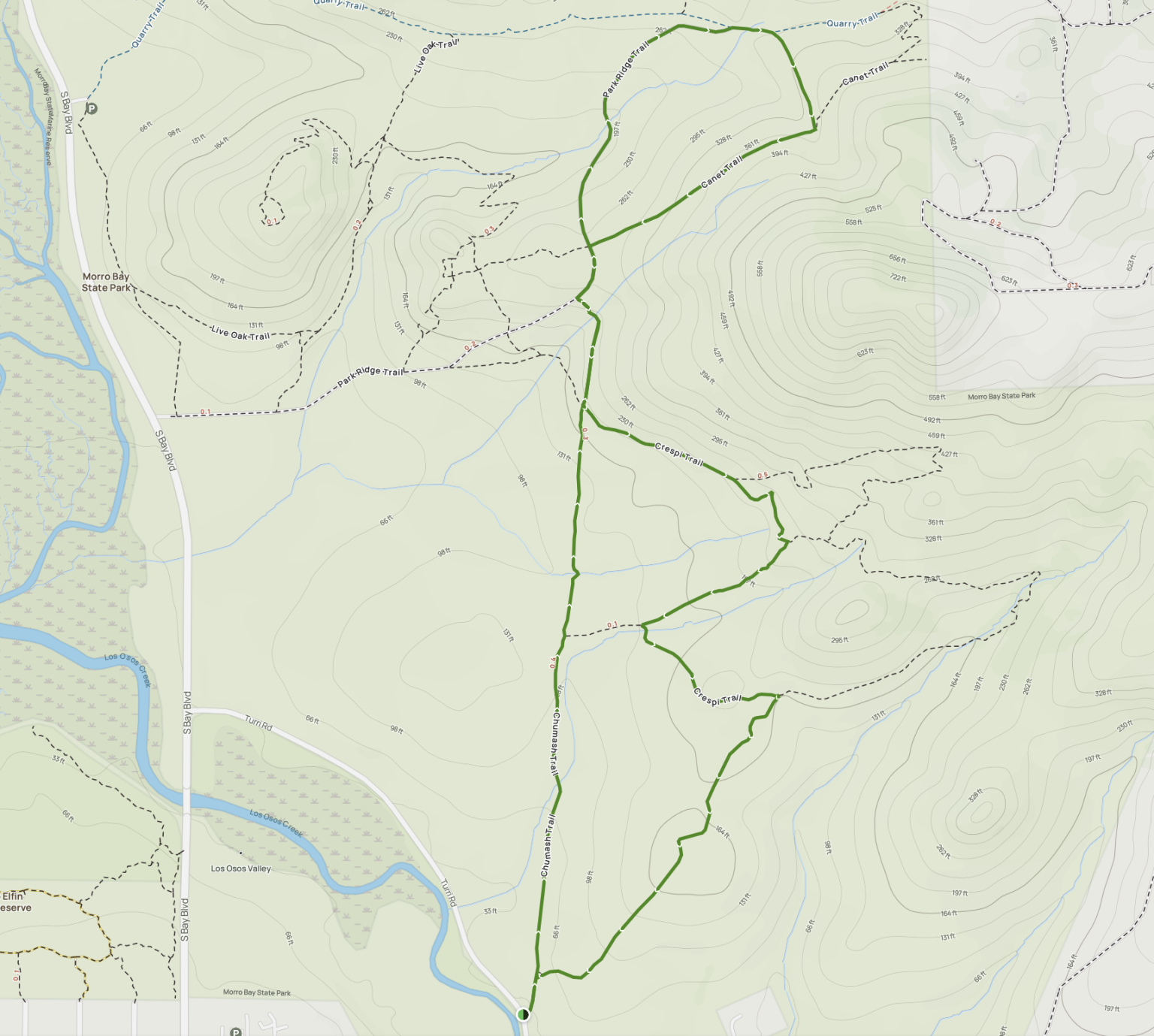 Morro Bay Hiking Guide: Best Trails & Scenic Walks